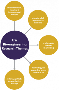 Research | University of Washington Bioengineering