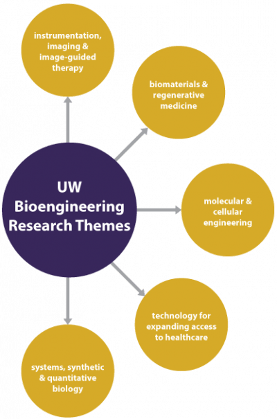 Research | University of Washington Bioengineering