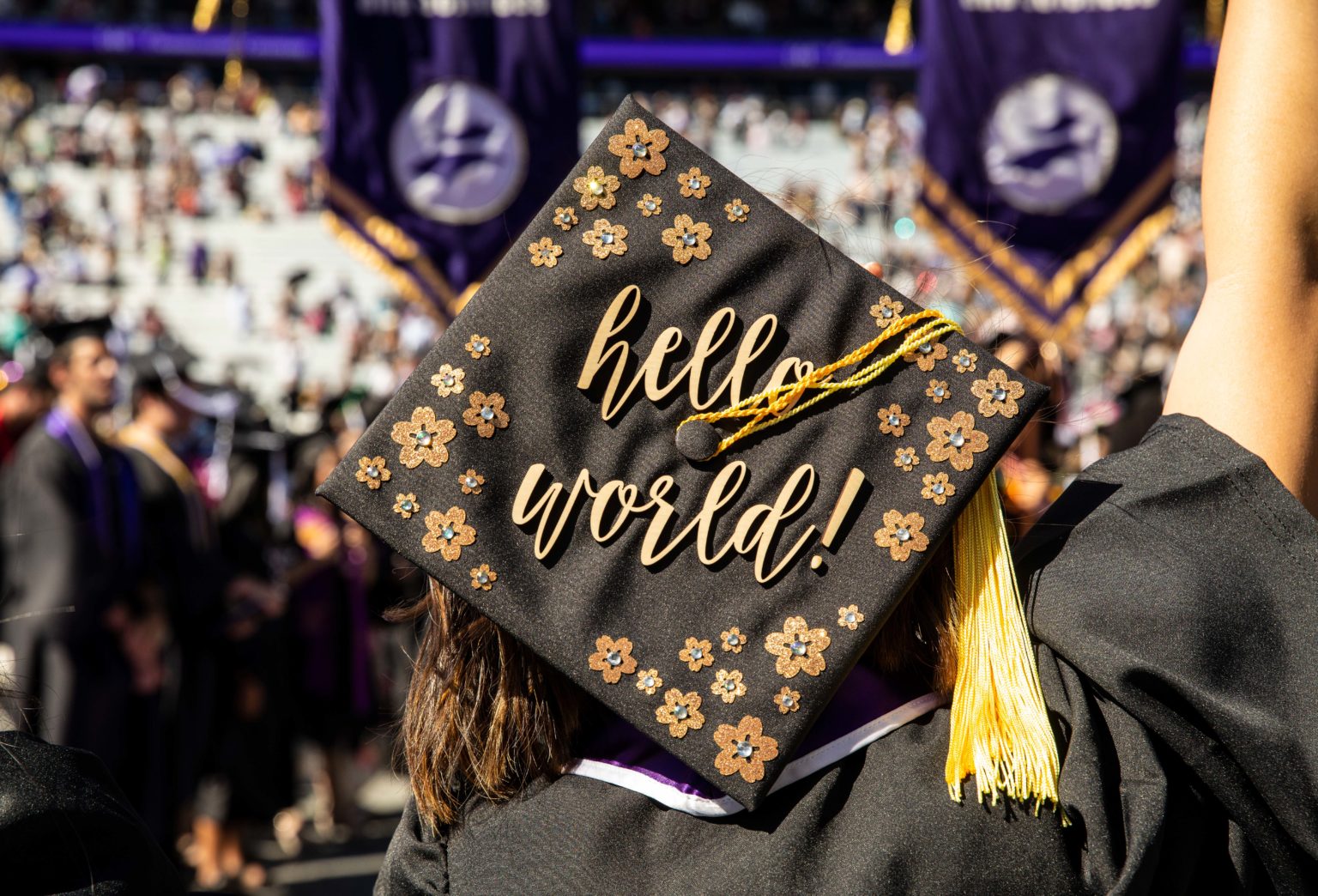 UW Bioengineering eNews | COVID-19 Special Issue 2020 | UW Bioengineering