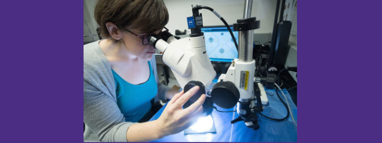 UW BioE - University of Washington Bioengineering