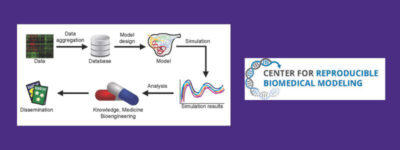 NIH supports Center for Reproducible Biomedical Modeling