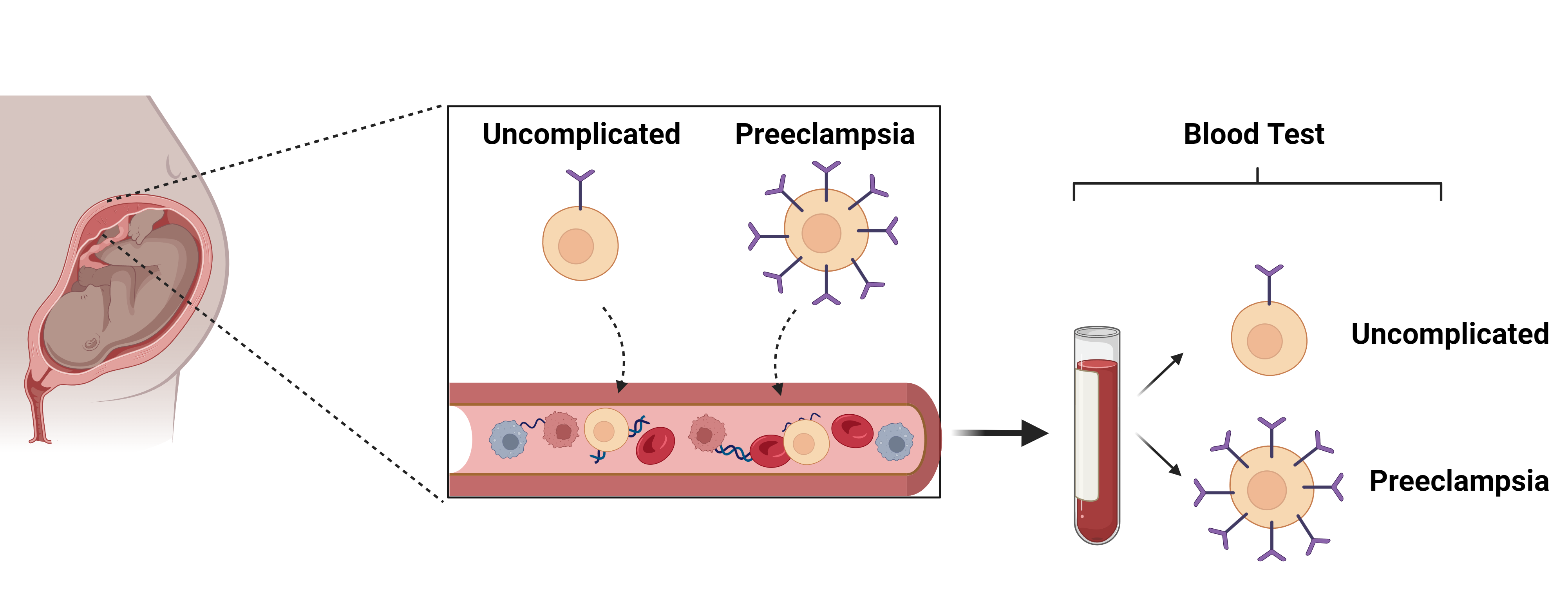 Patrick Boyle and Princess Imoukhuede receive 2024 ITHS Awards