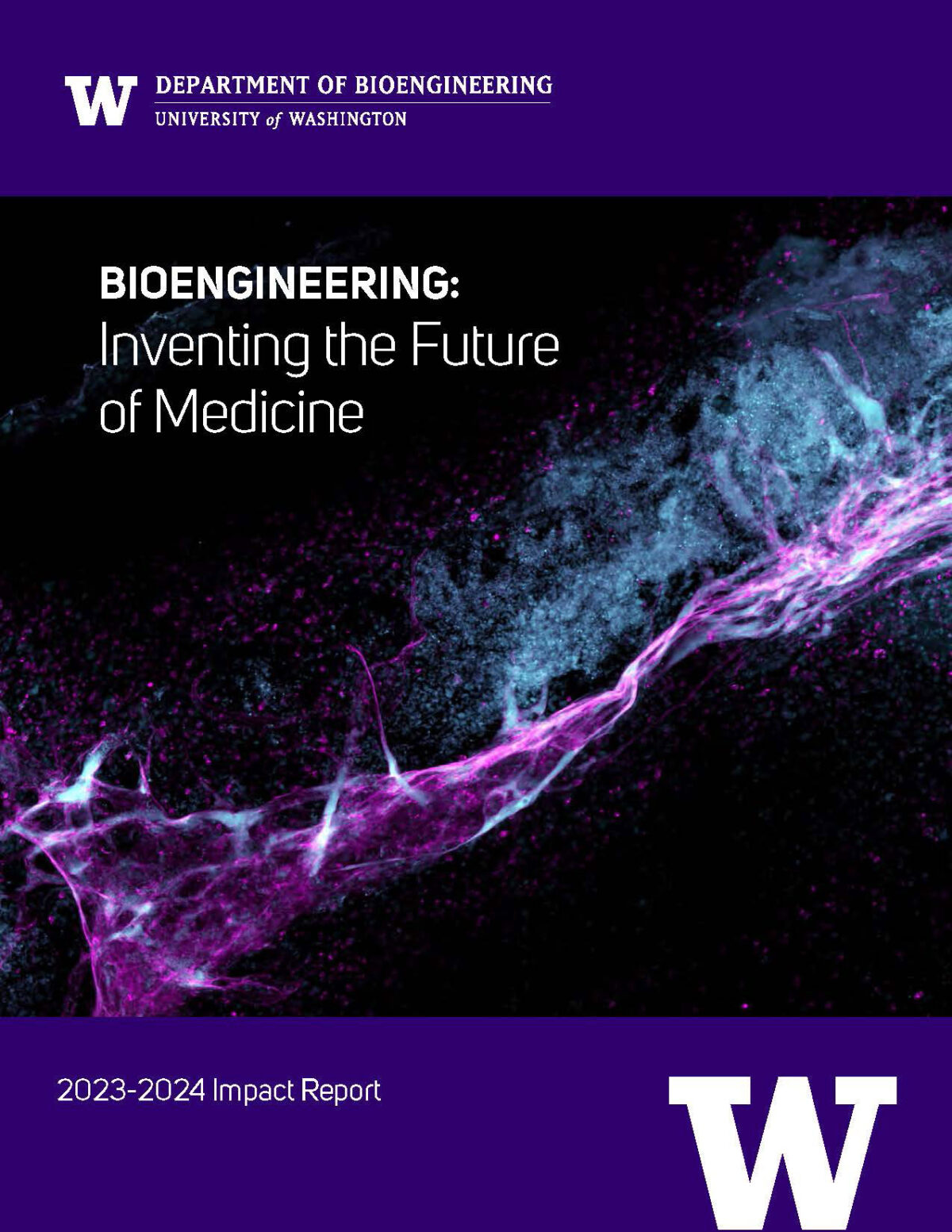 Stunning images taken by UW Bioengineering’s students and postdocs | UW ...